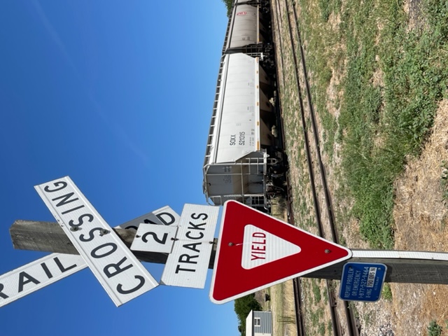 NETEX: Rail operator Freedom Rail making inroads, state of Texas ...