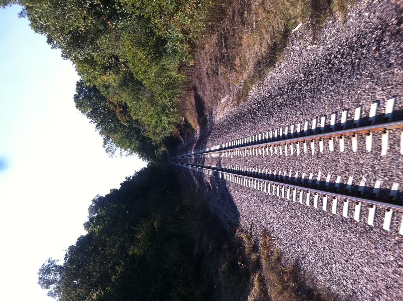 All aboard a 23-hour train ride from Dallas to Houston, where train ...